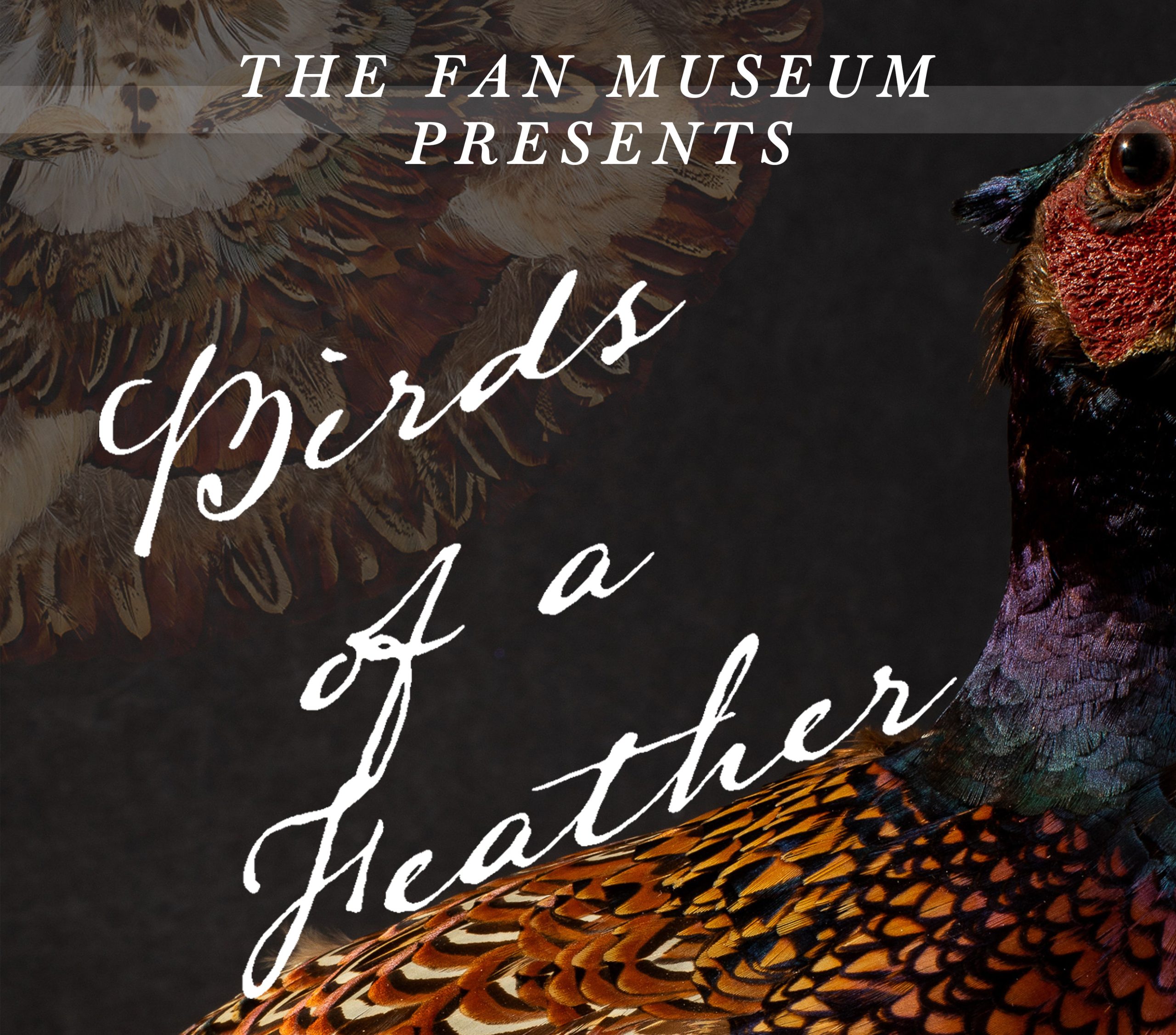The Fan Museum, Greenwich